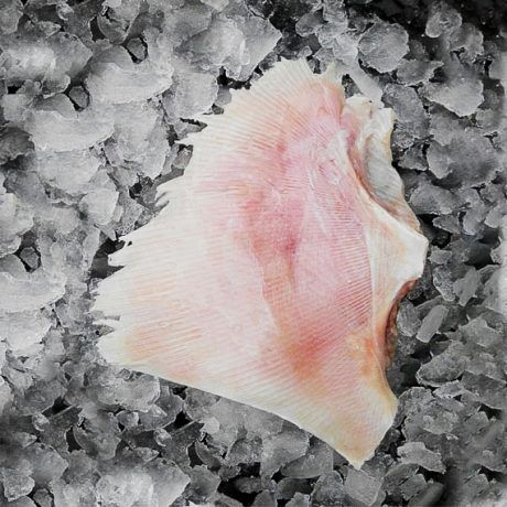 Comprar Raya pescado fresco, Pescado Mediterráneo - Tu Pescadería Online