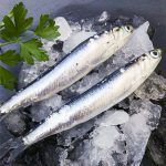 Pescadería Online | Comprar pescado online y marisco fresco