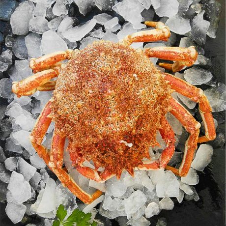 Comprar Centolla Gallega fresca online directa de lonja.