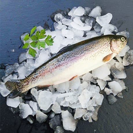Comprar Trucha Fresca Online - Tu Pescadería Online